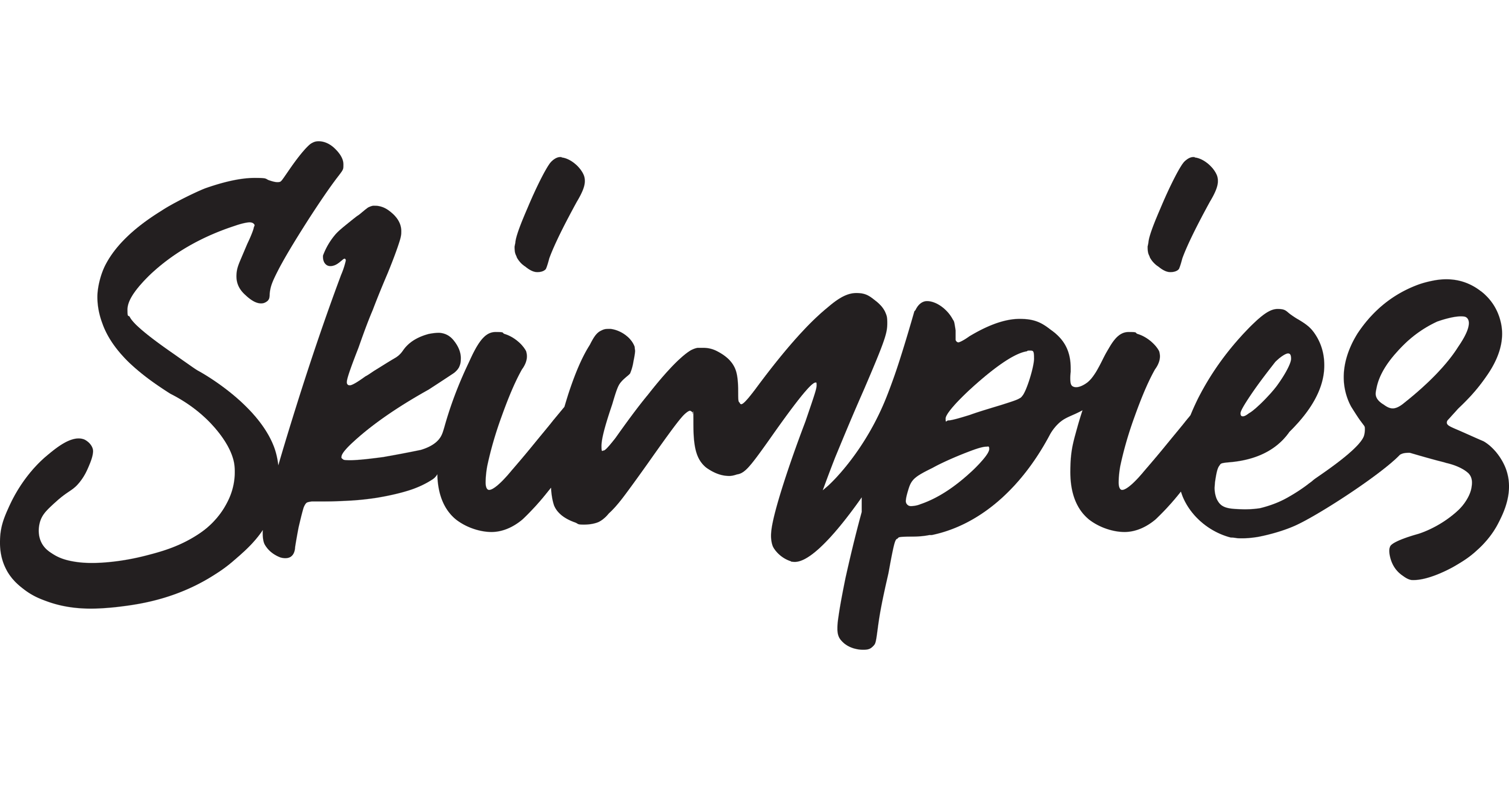 The Original Leggings Liner™ – SKIMPIES